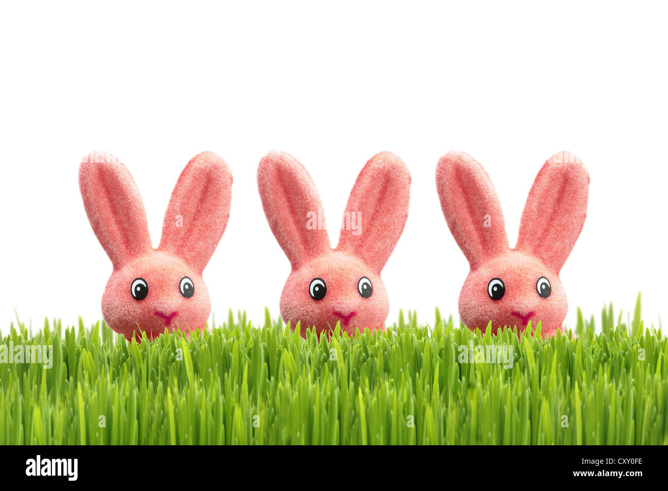 Three hare symbol hi-res stock photography and images - Alamy