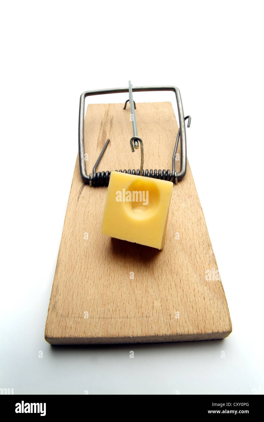 Mousetrap or mouse trap with cheese Stock Photo - Alamy