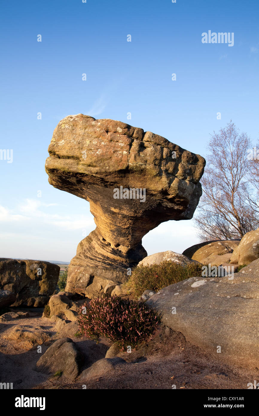 Brimham Rocks balancing natural rock formations in North Yorkshire ...