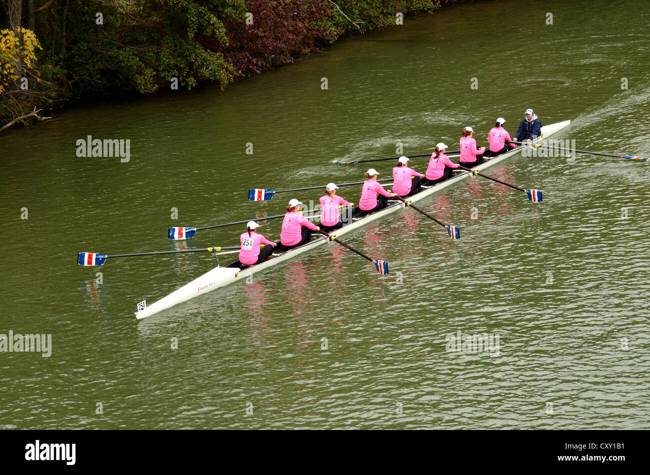 Sweep sculling hi-res stock photography and images - Alamy