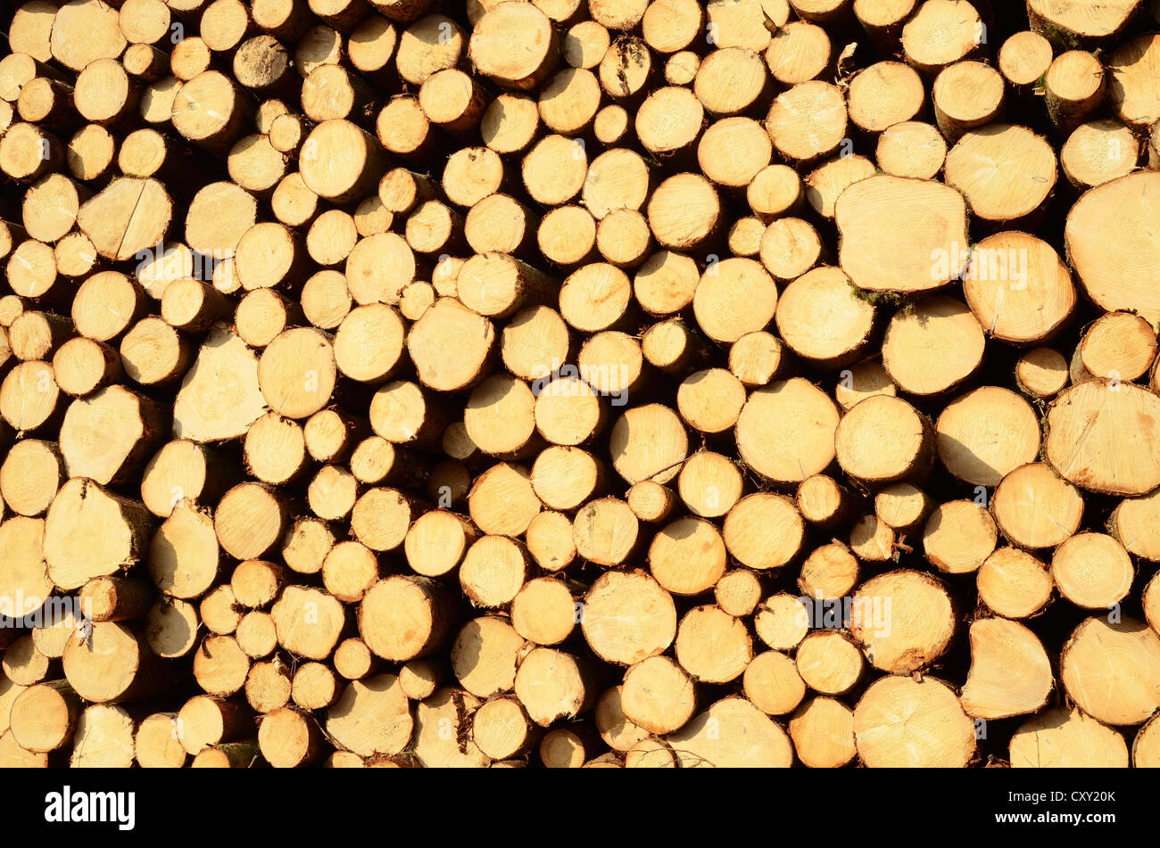 Cut spruce logs hi-res stock photography and images - Alamy