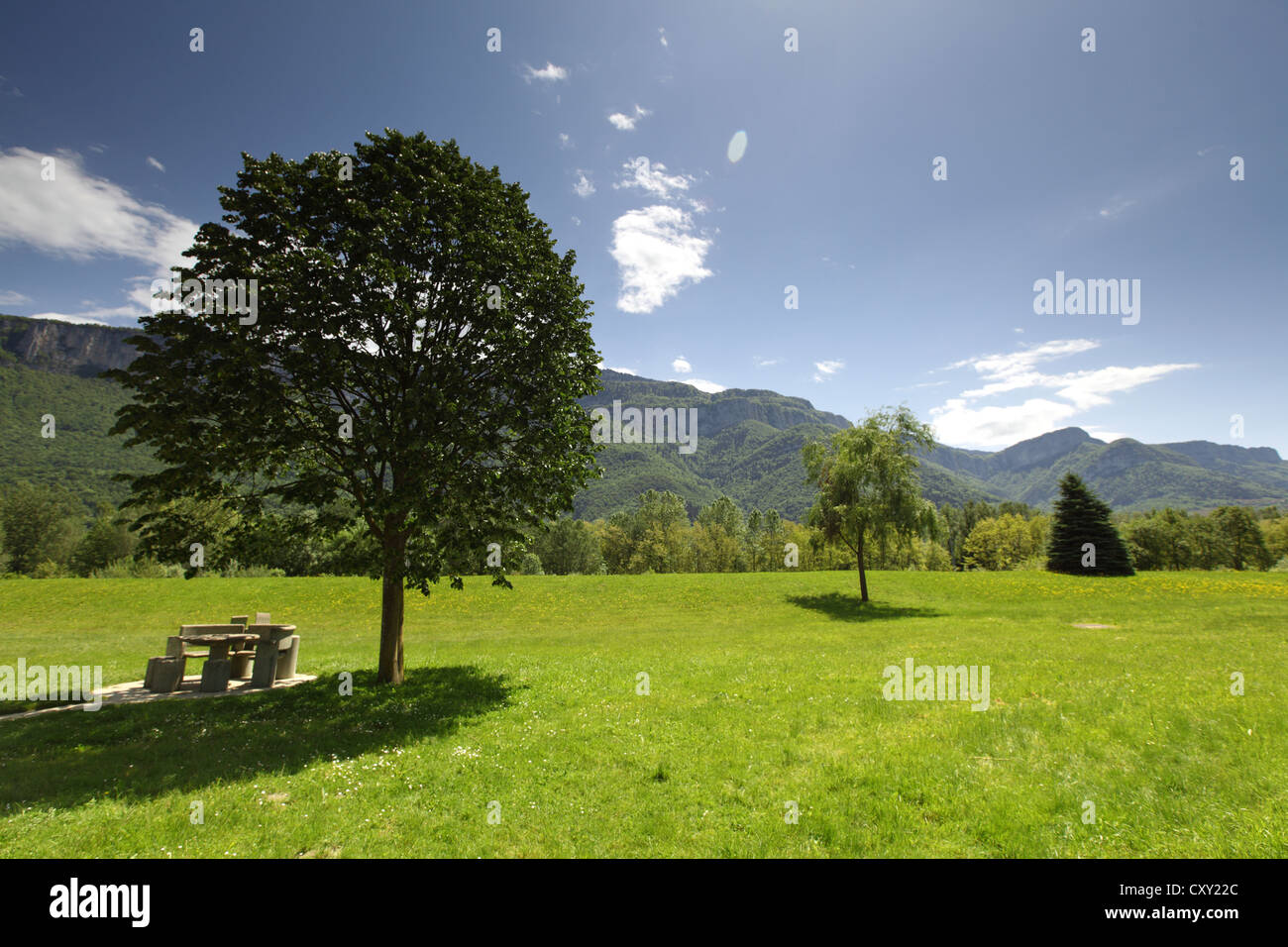 a beautiful view of the alps tree on grass field Stock Photo - Alamy