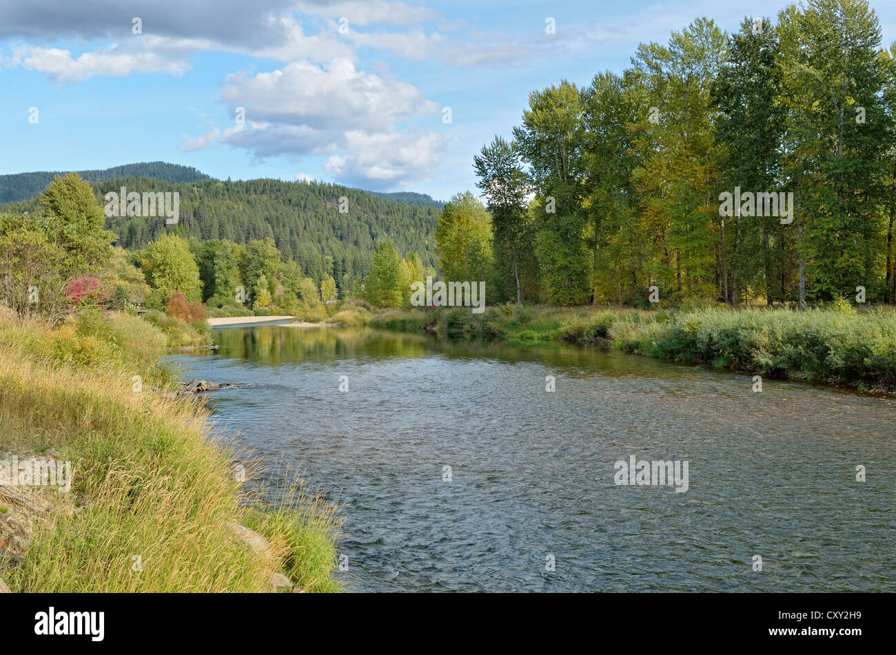 Coeur d alene national forest hi-res stock photography and images - Alamy