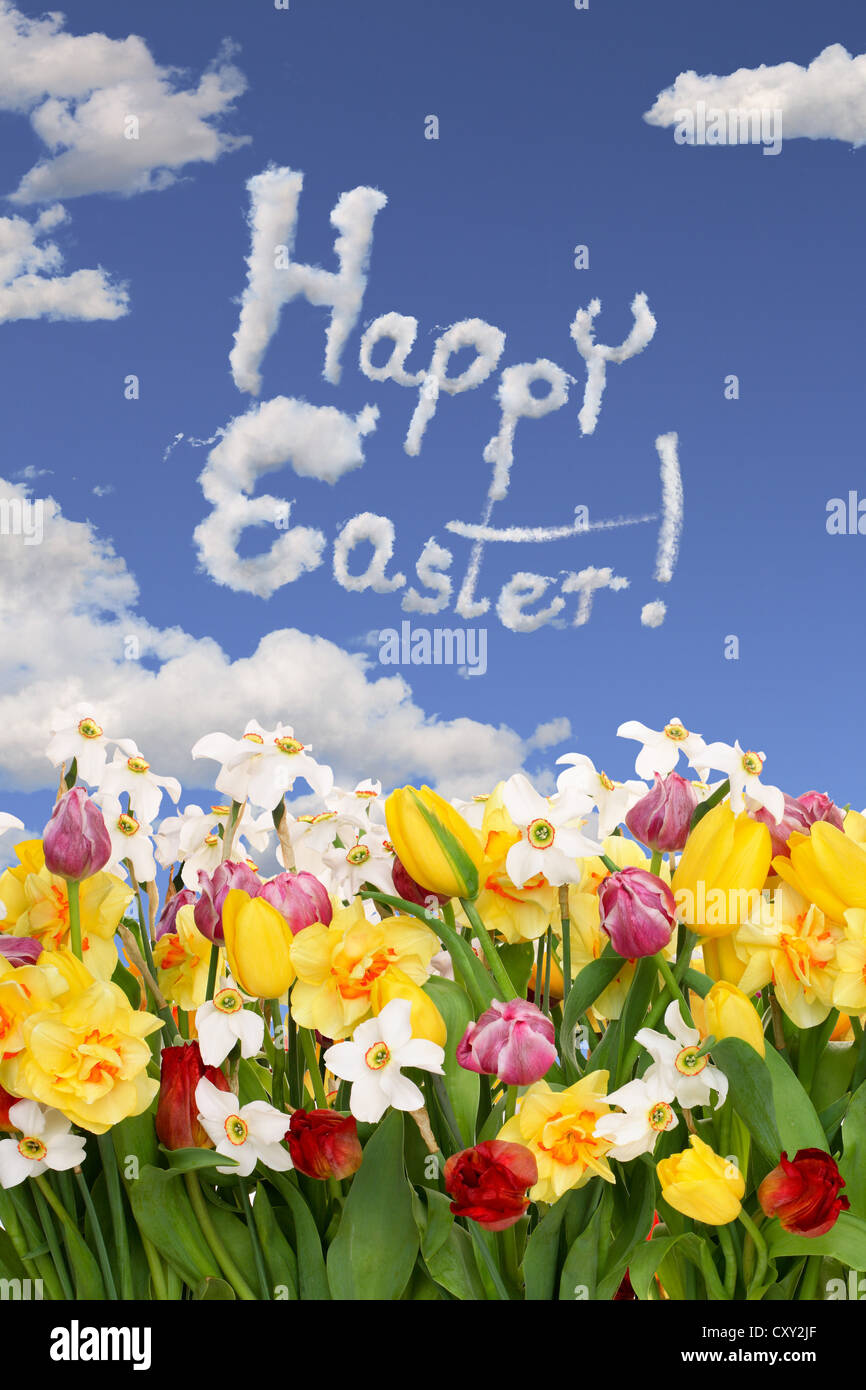 Field of flowers, lettering "Happy Easter Stock Photo - Alamy