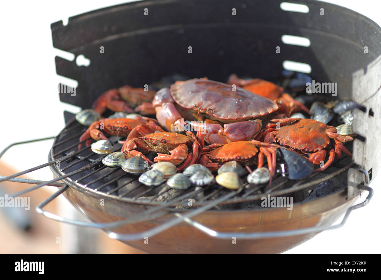 crabs shrimps on charcoal grill Stock Photo - Alamy