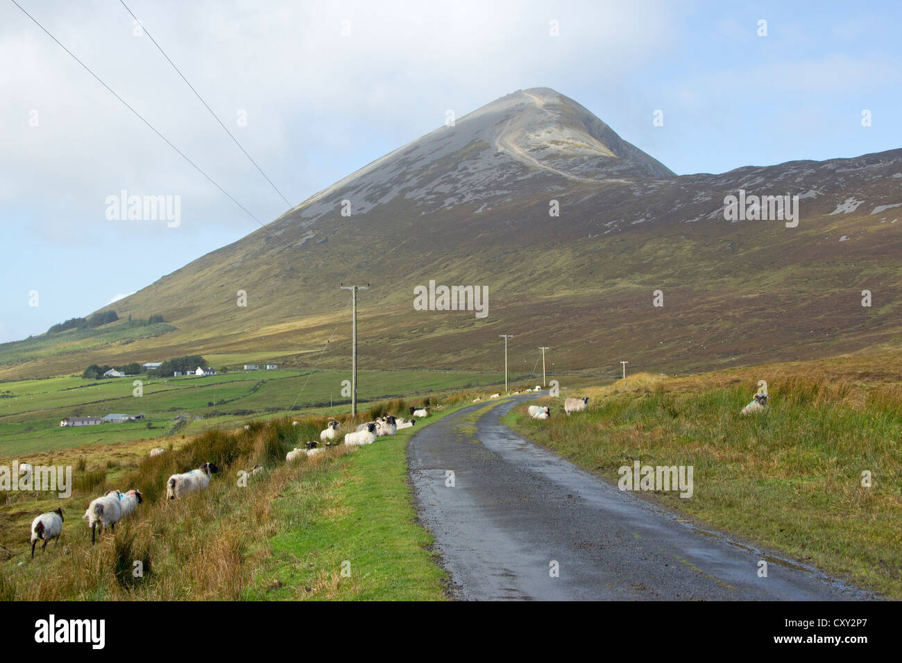 Croagh Patrick, Co. Mayo, Ireland Stock Photo - Alamy