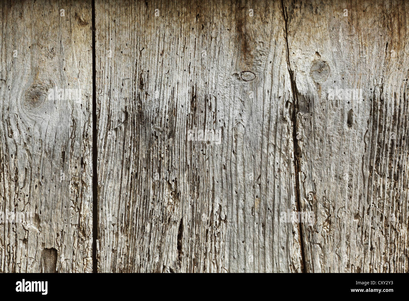 natural wooden texture Stock Photo - Alamy