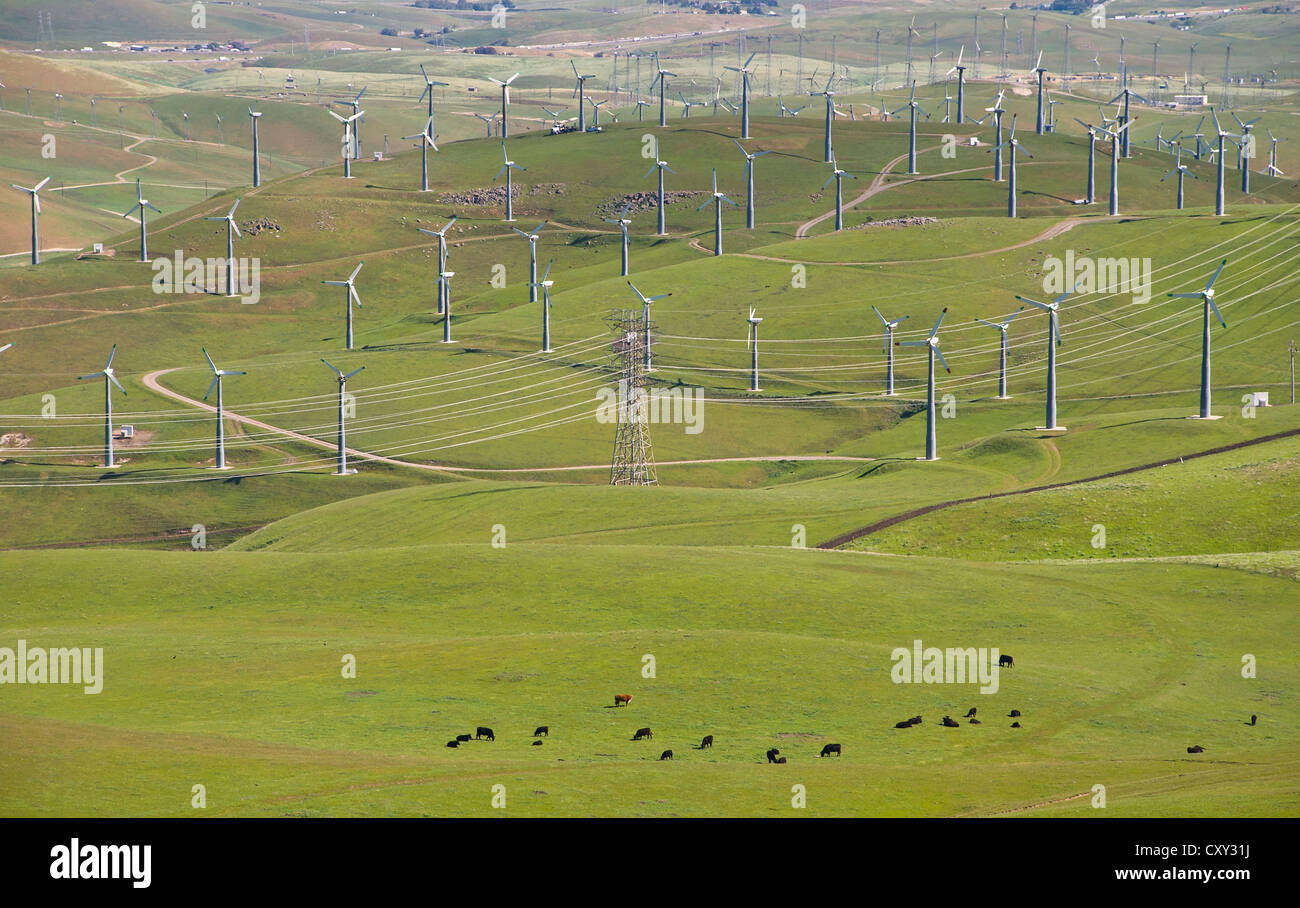 Farm feature hi-res stock photography and images - Alamy
