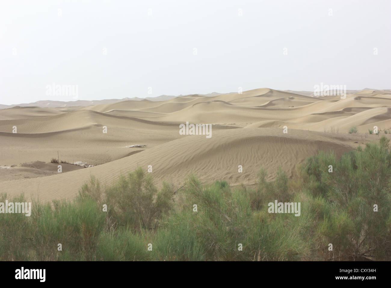 Taklimakan Desert, Xinjiang, China Stock Photo - Alamy