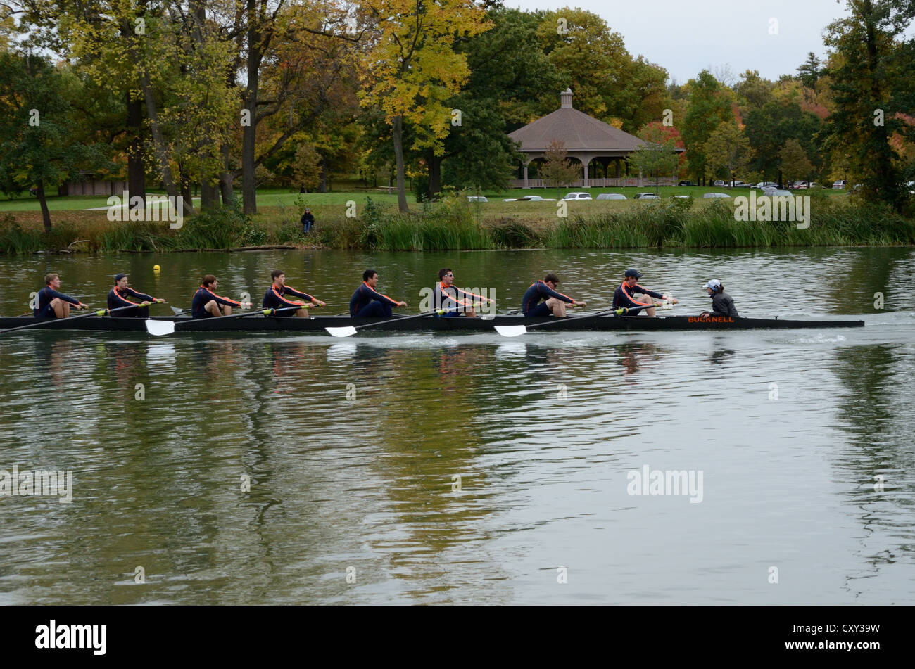 Student students rowing team hi-res stock photography and images - Alamy