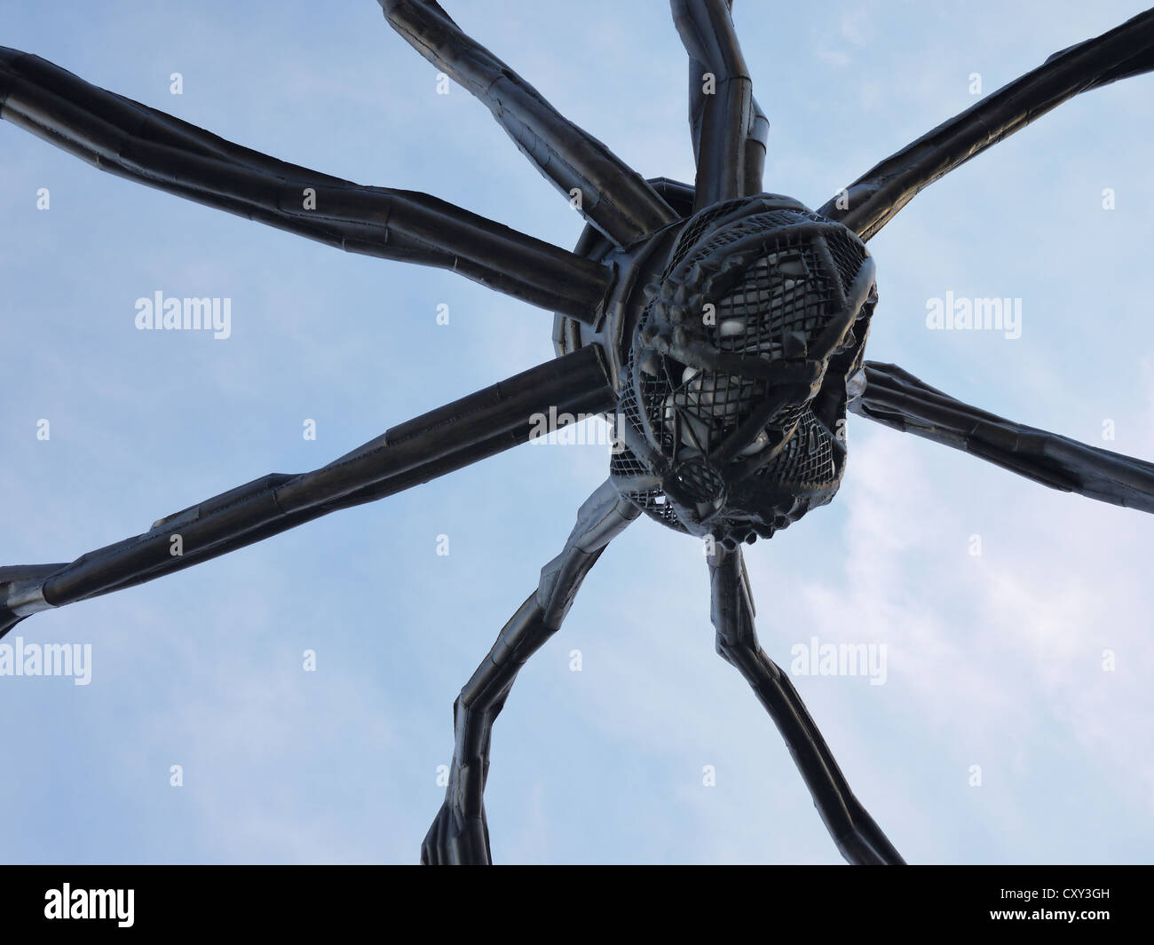 Ottawa National Gallery of Canada Spider Stock Photo - Alamy