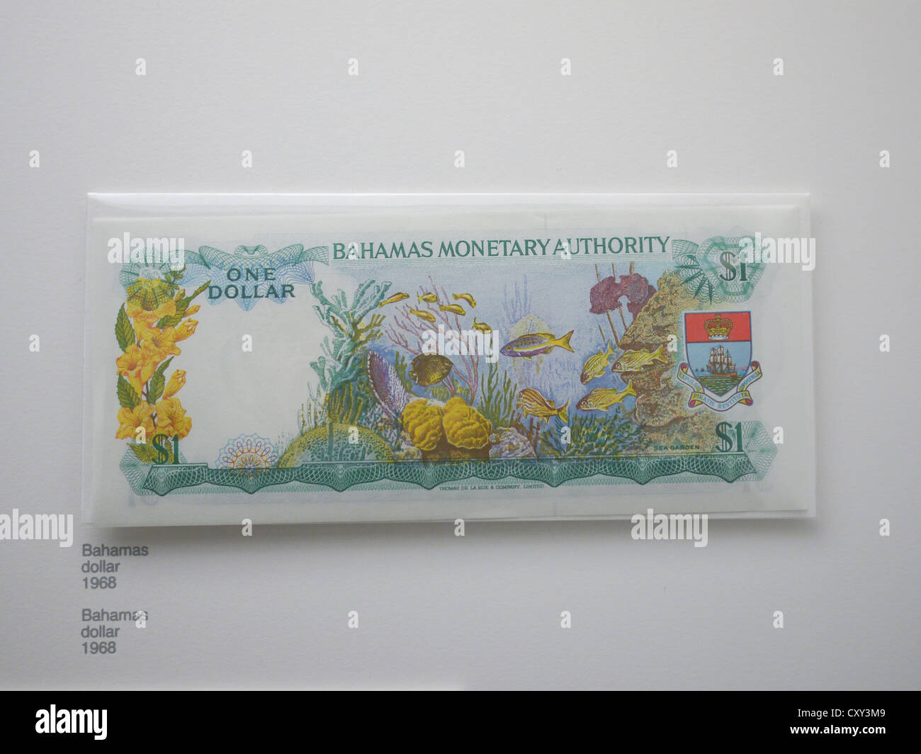Bahamas dollar hi-res stock photography and images - Alamy