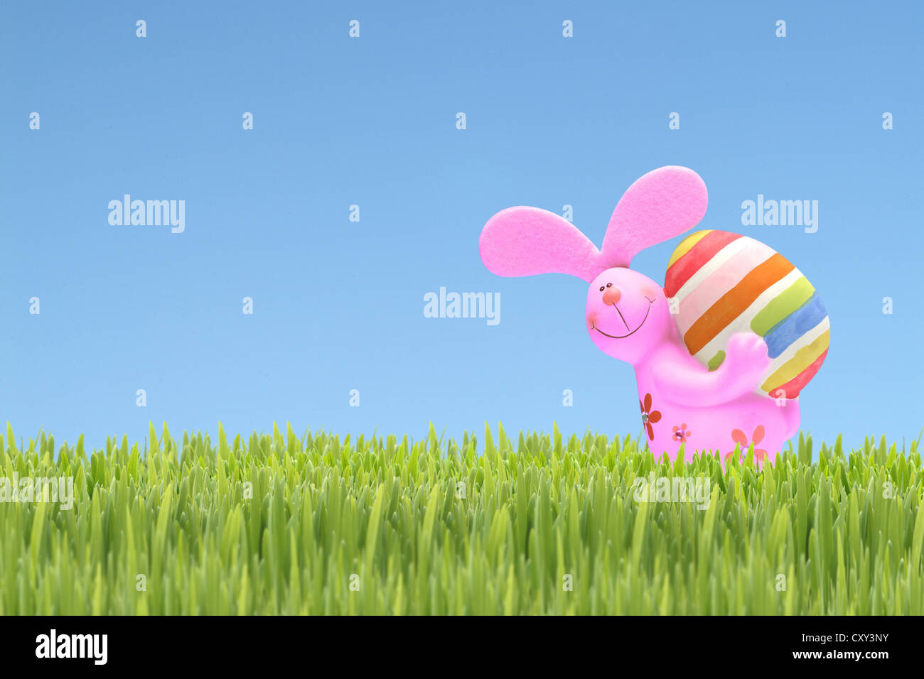 Bunny in grass hi-res stock photography and images - Alamy