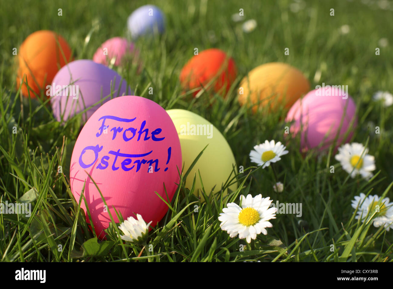 Colourful Easter eggs on a meadow, one with the message Frohe Ostern ...