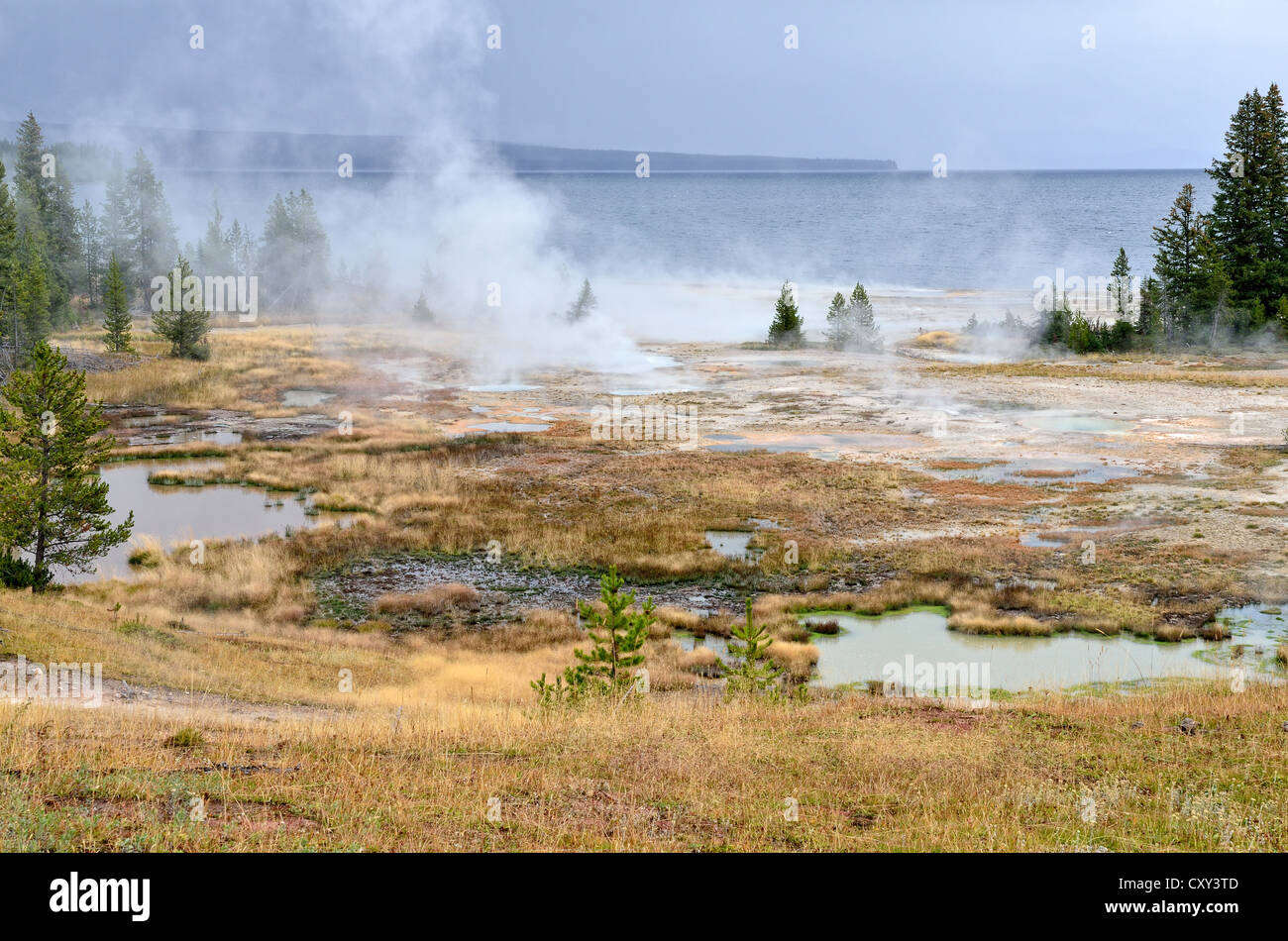 Geysir geothermal basin hi-res stock photography and images - Alamy