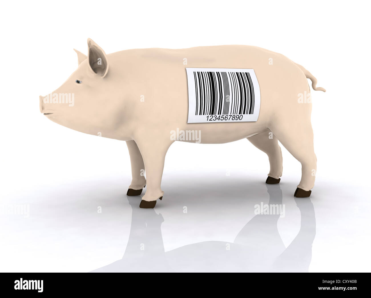 Pig on farm illustration hi-res stock photography and images - Alamy