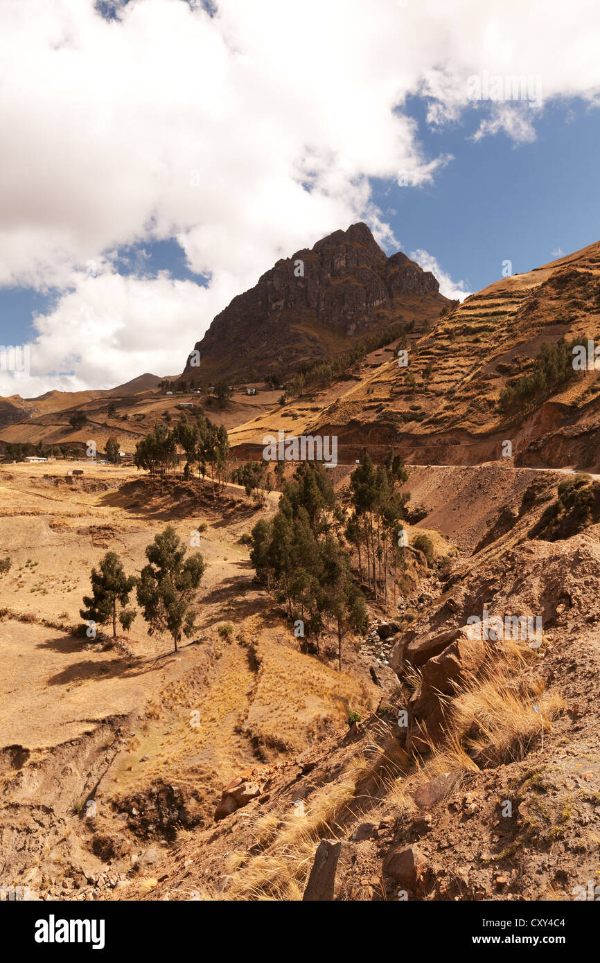 Typical Andean Landscape In Ecuadorian Cordillera Vertical Stock Photo ...