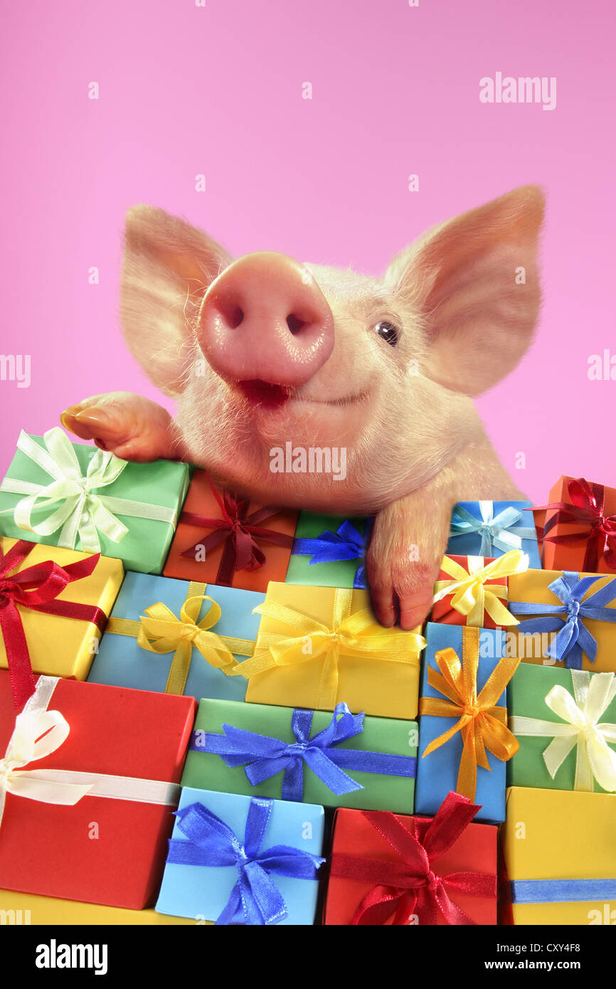 Y charm hi-res stock photography and images - Alamy