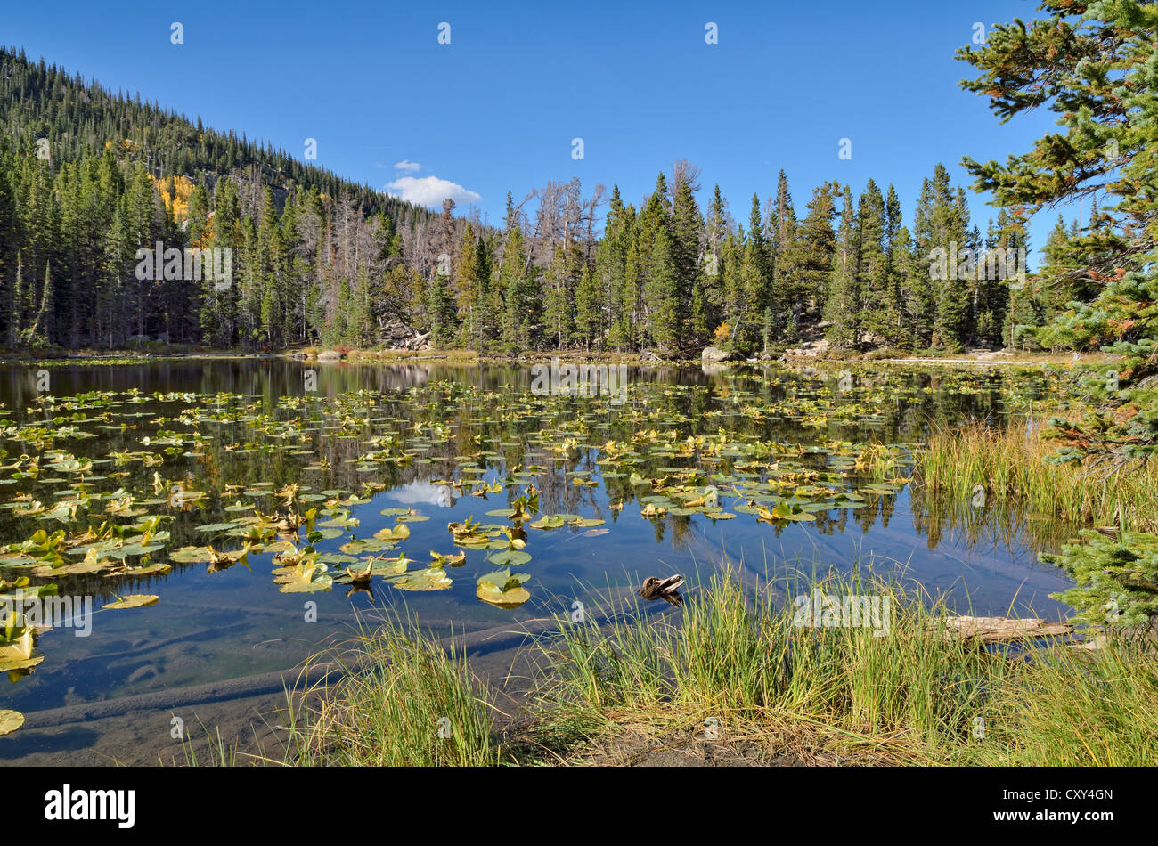 Nymph lake scenery hi-res stock photography and images - Alamy