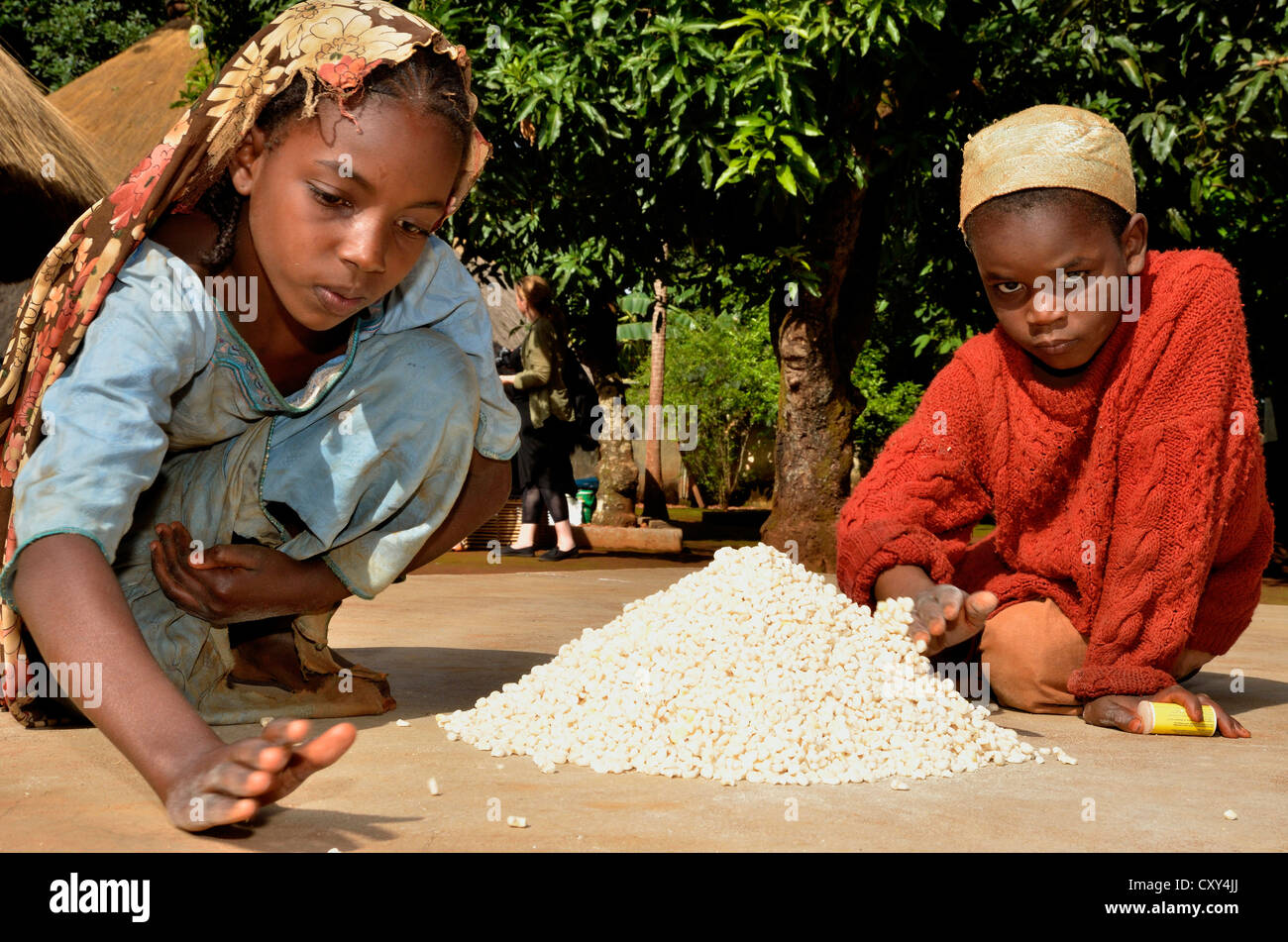 Children in the village of Idool drying their crops, near Ngaoundéré ...