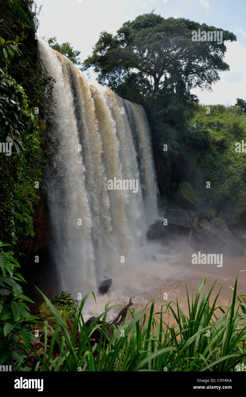 Metché Waterfall, Cameroon, Central Africa, Africa Stock Photo - Alamy