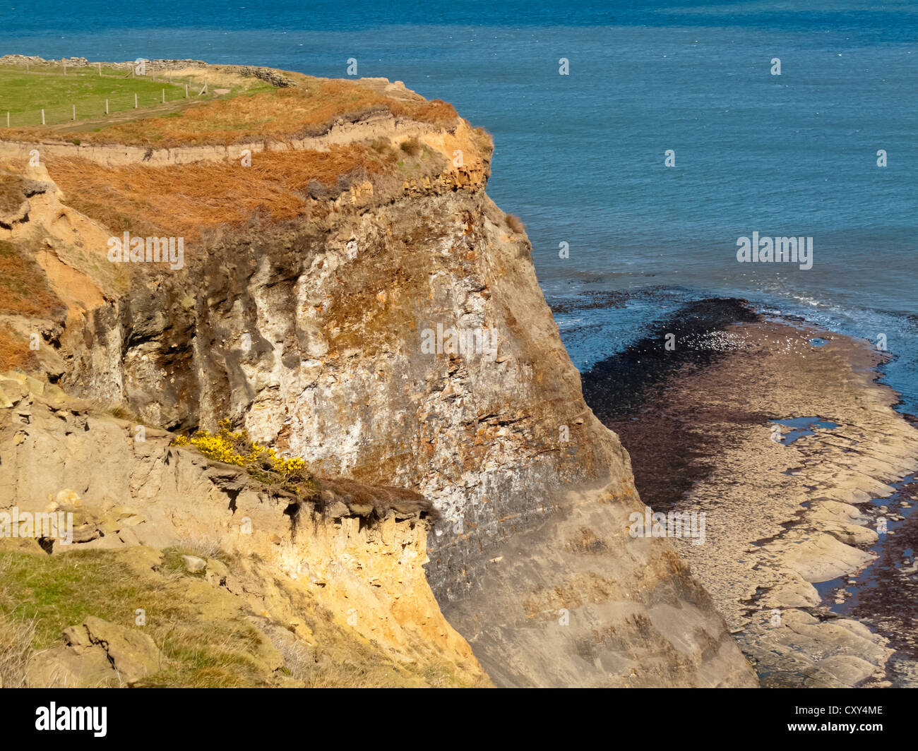 Cliffs of whitby hi-res stock photography and images - Alamy
