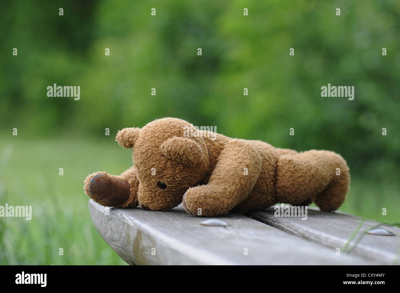 Forgotten toys hi-res stock photography and images - Alamy