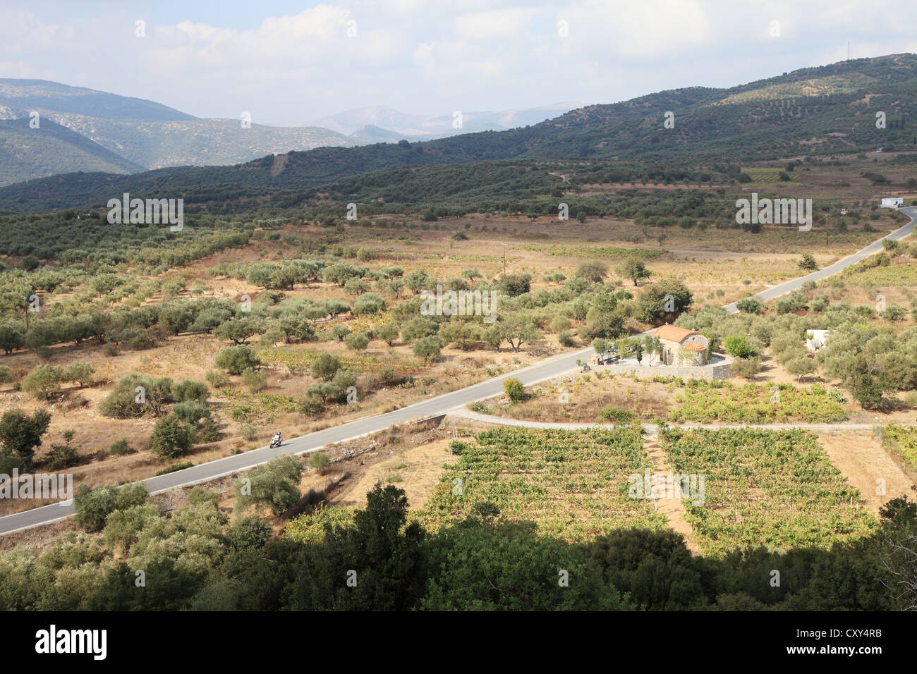 Seli hi-res stock photography and images - Alamy