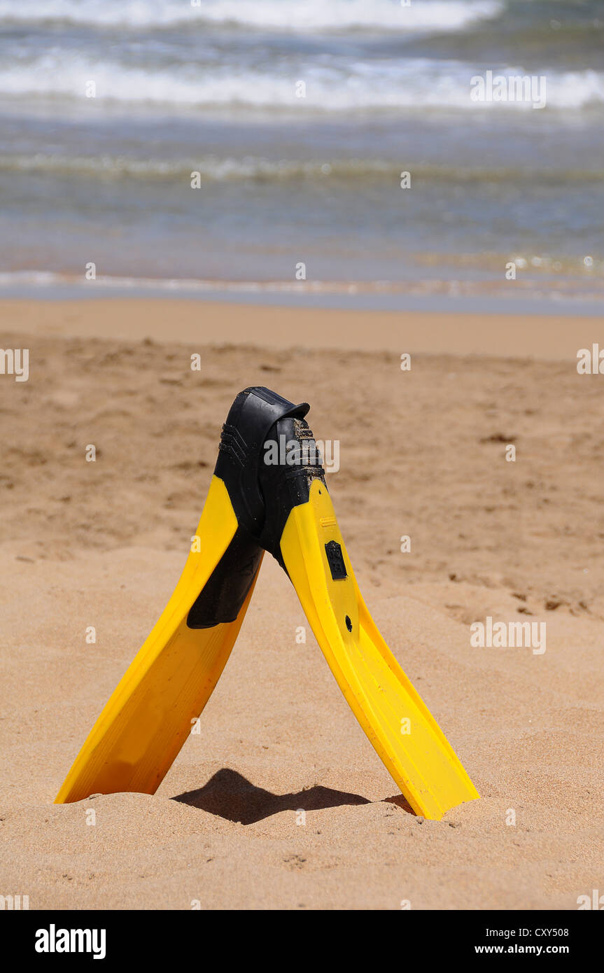 Flippers on a beach Stock Photo - Alamy