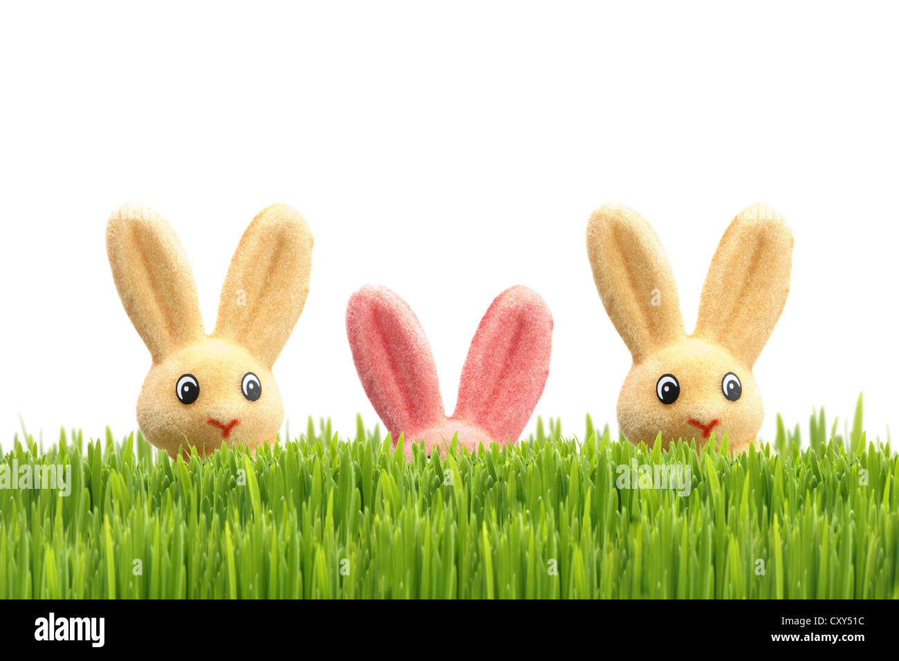 Three Easter bunnies, one is hiding, Easter decoration, green grass ...