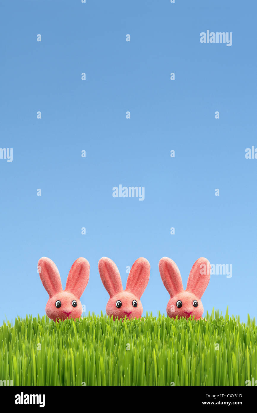 Three rabbits symbol hi-res stock photography and images - Alamy
