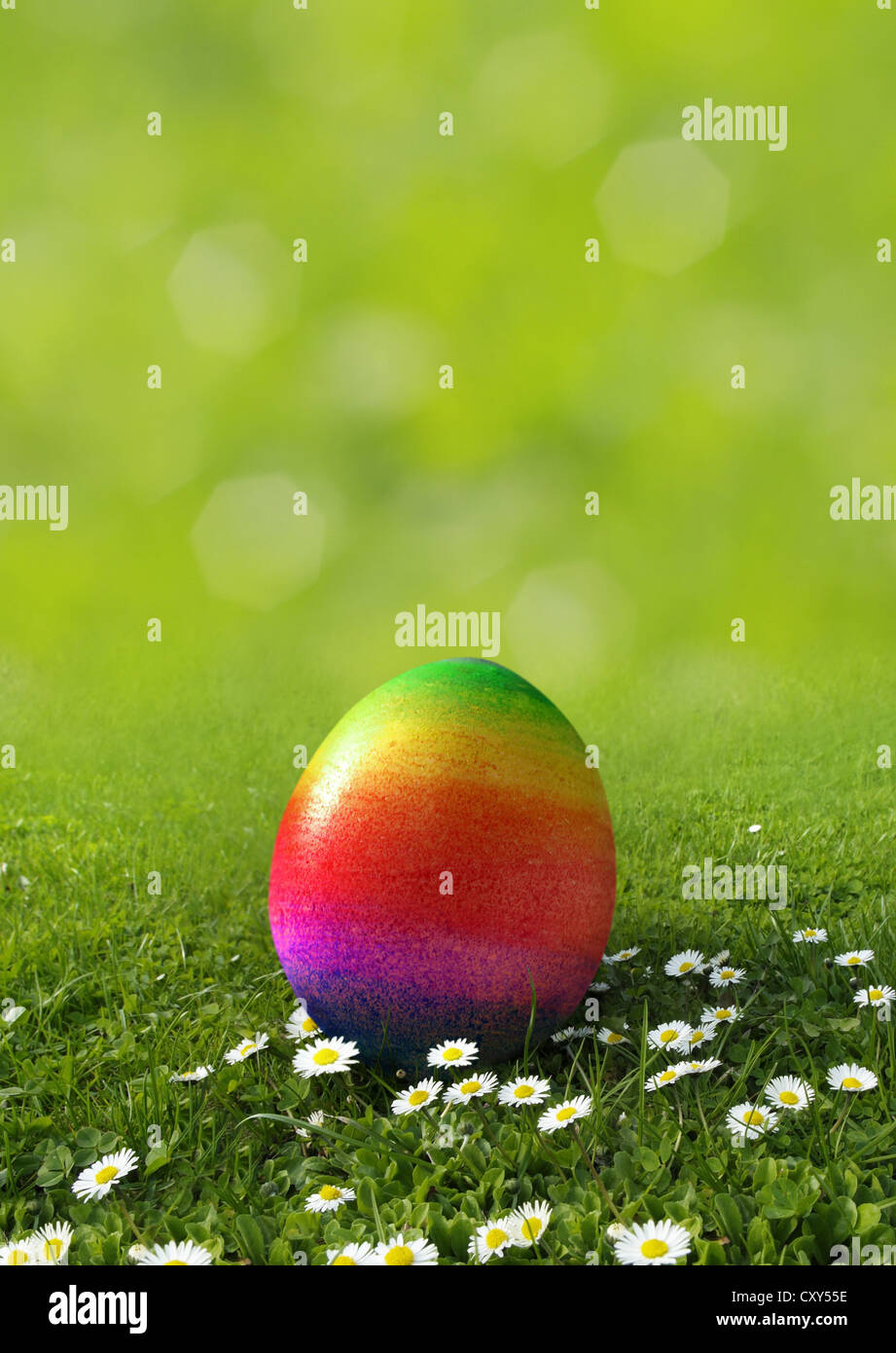 Rainbow-coloured Easter egg on a meadow with daisies Stock Photo - Alamy