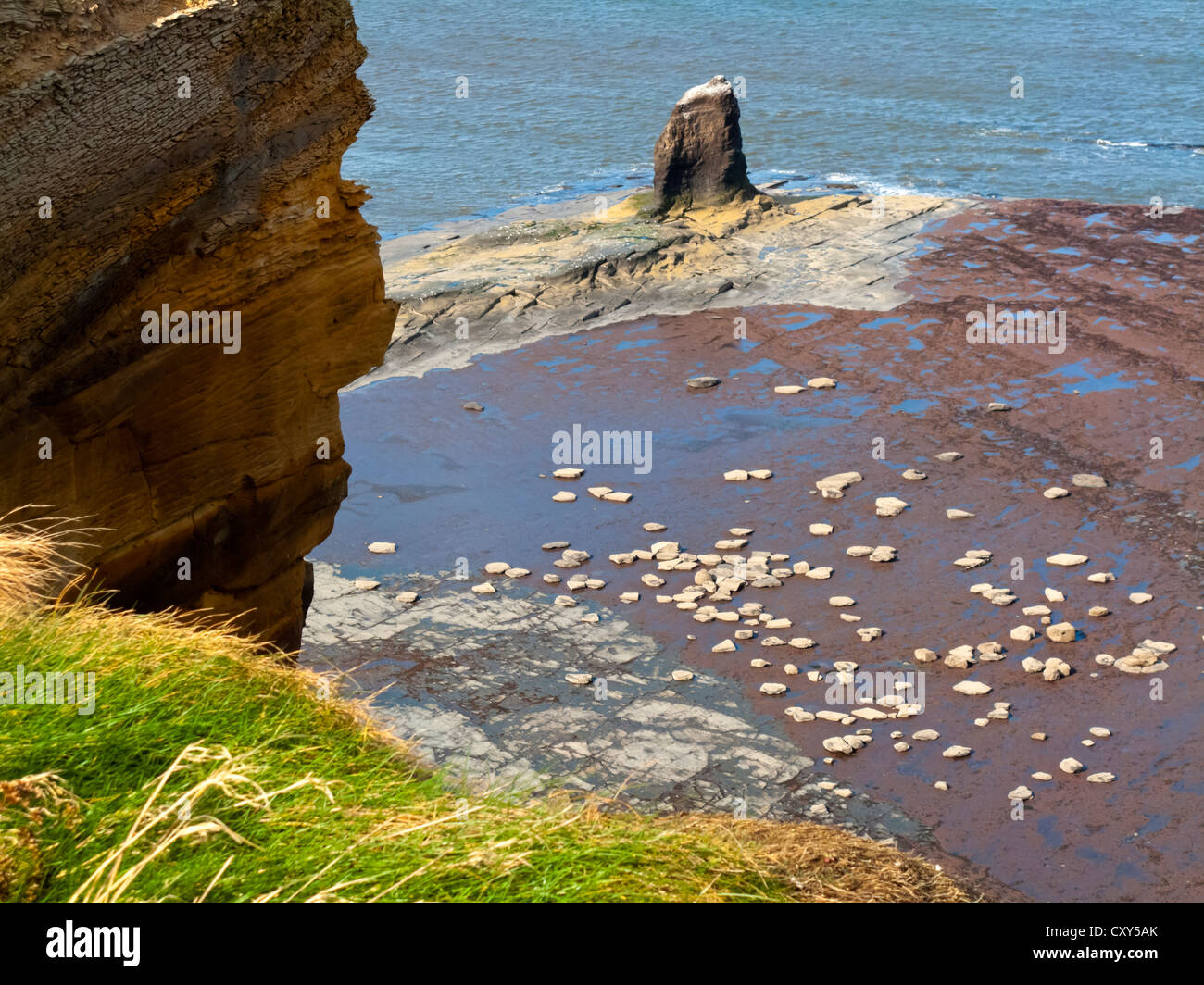 The coastline at Saltwick Bay near Whitby in North Yorkshire England UK ...