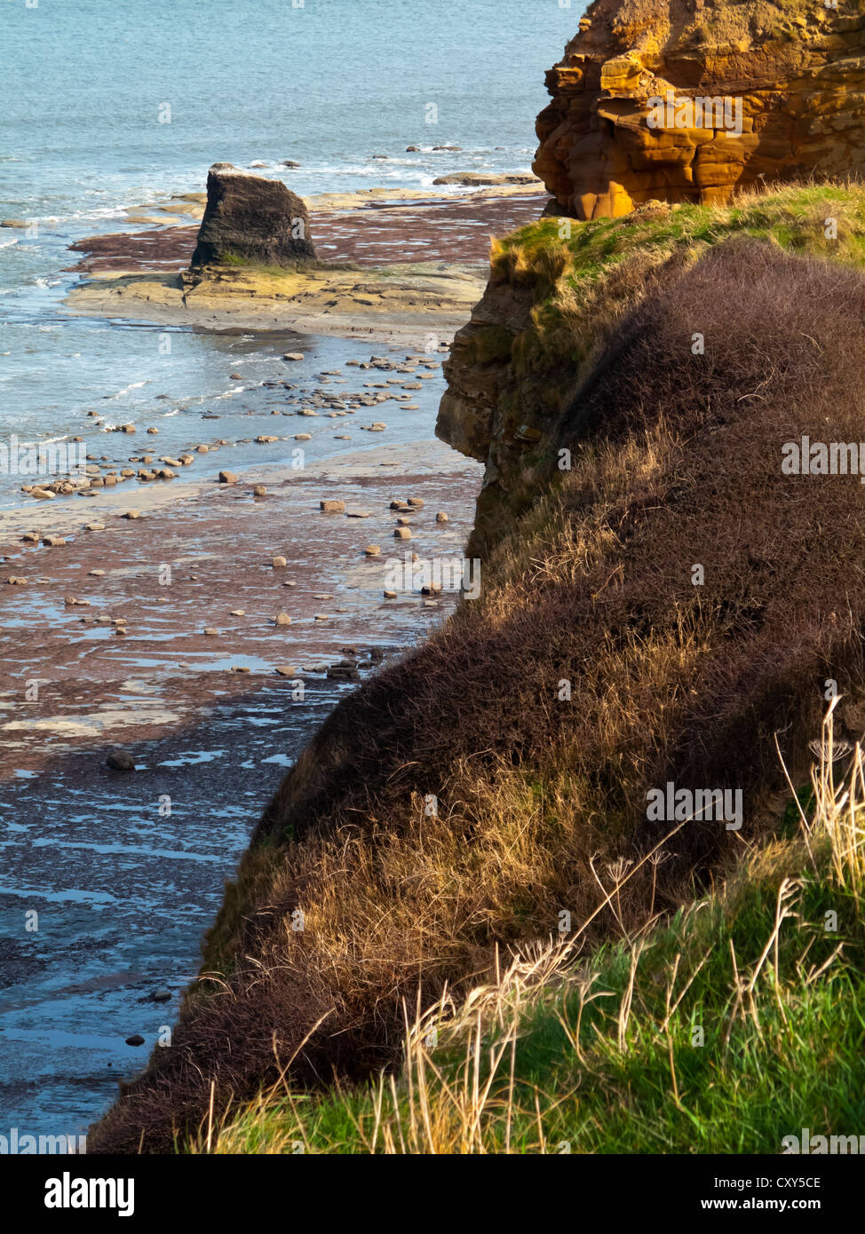 The coastline at Saltwick Bay near Whitby in North Yorkshire England UK ...