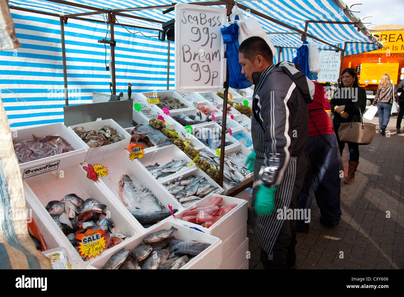 Rd fish hi-res stock photography and images - Alamy