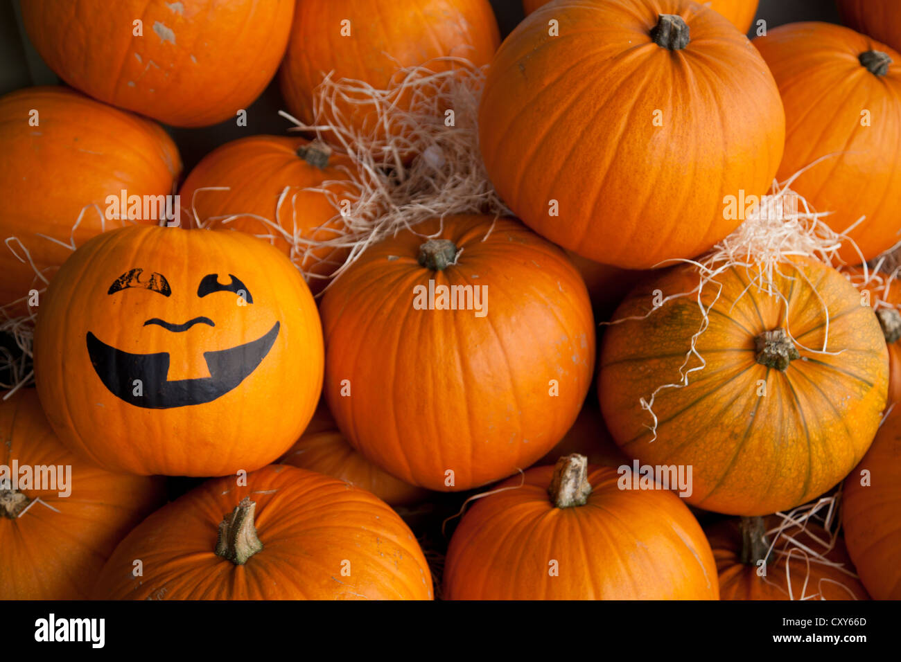 Pumpkin face drawn halloween hi-res stock photography and images - Alamy
