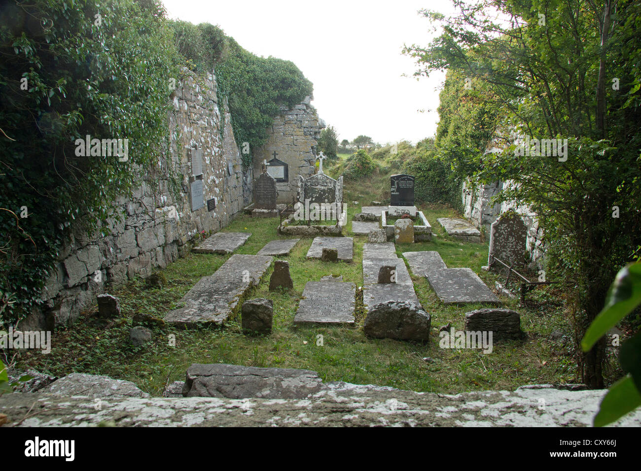 Ruins old church near ballyvaughan hi-res stock photography and images ...