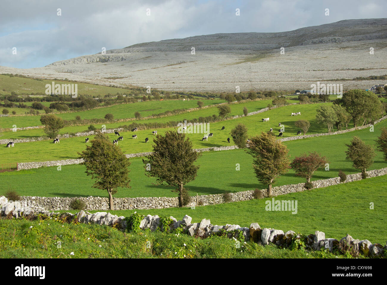 panoramic view of the Burren near Ballyvaughan, Co. Clare, Ireland ...