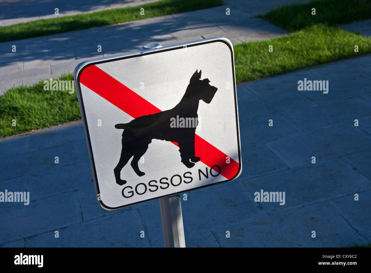 No Dogs sign in Spain Stock Photo - Alamy