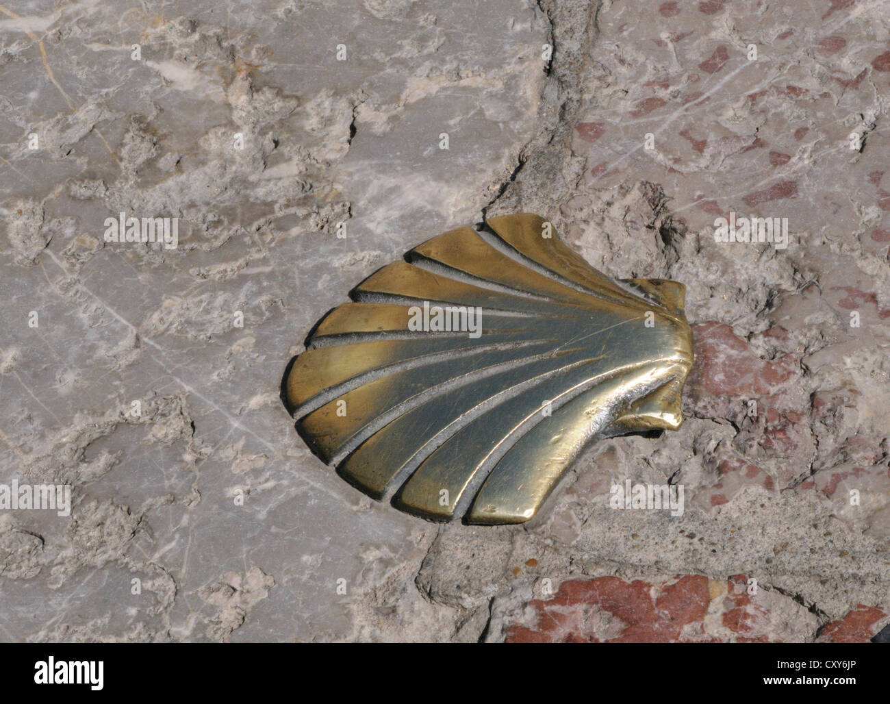 Symbol of pilgrims shell hi-res stock photography and images - Alamy