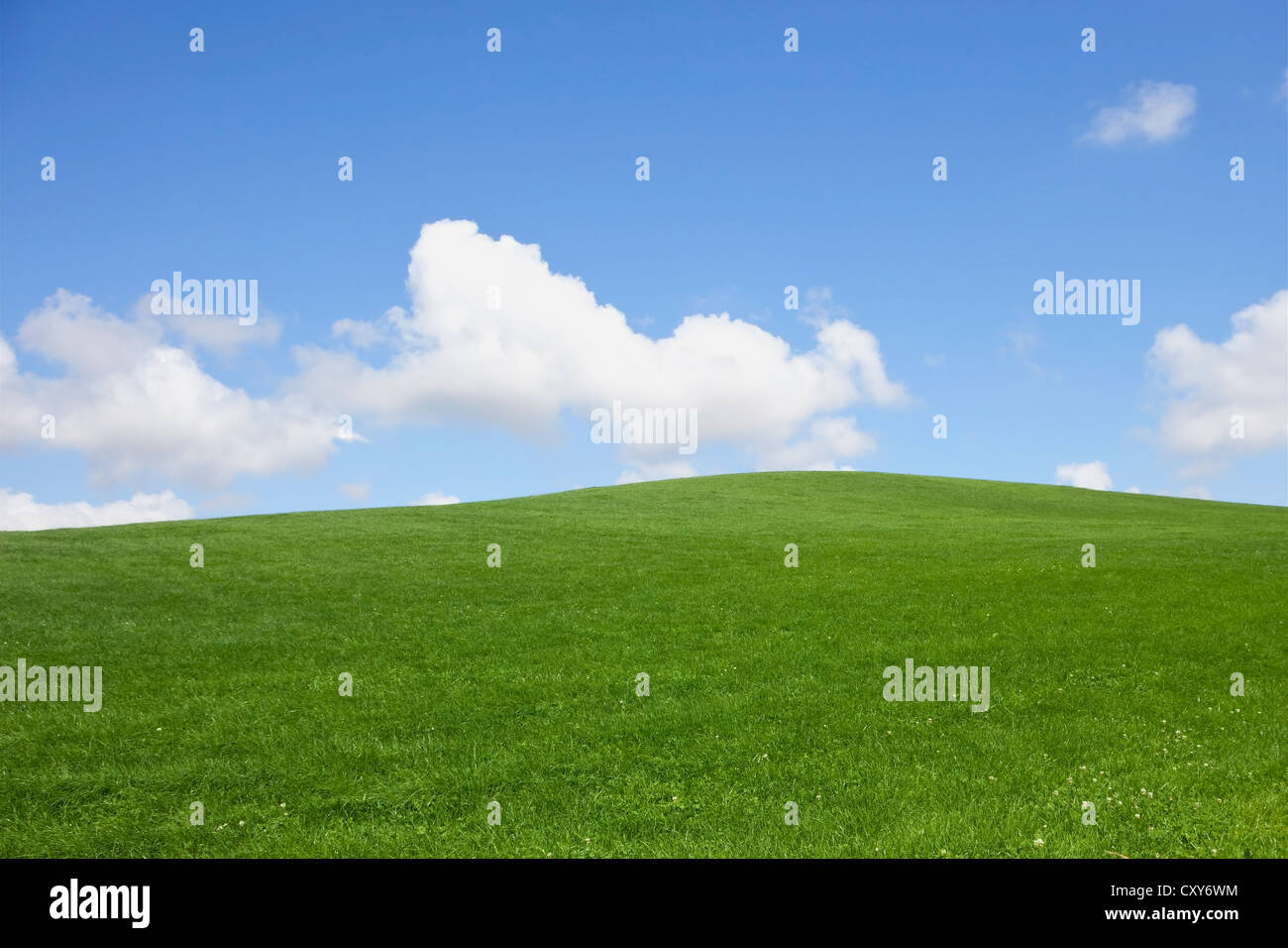 Green grass hilltop blue sky hi-res stock photography and images - Alamy