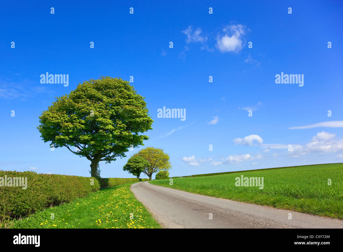 English roadside hi-res stock photography and images - Alamy