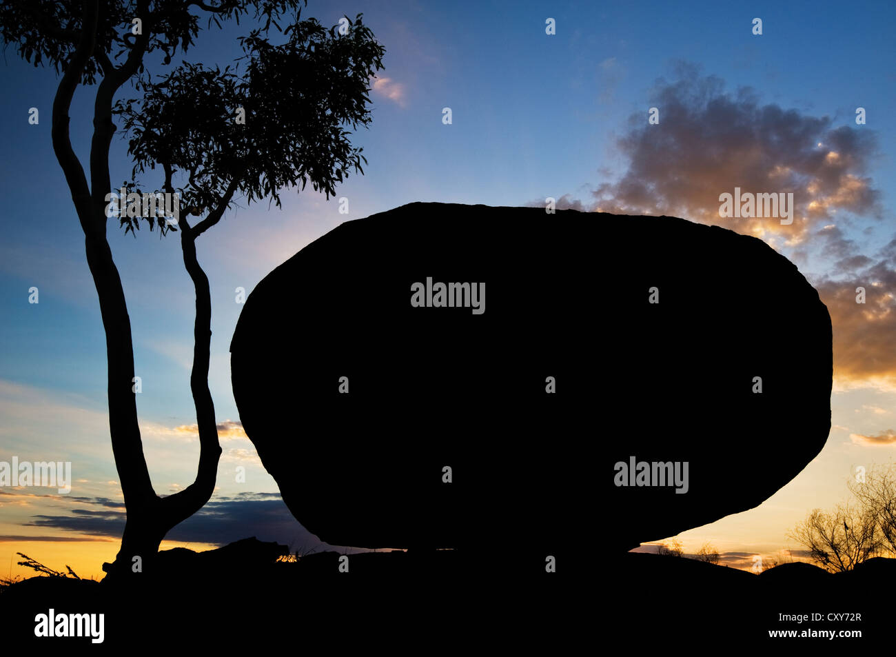 Boulder of the Devils Marbles and Ghost Gum in sunset Stock Photo - Alamy