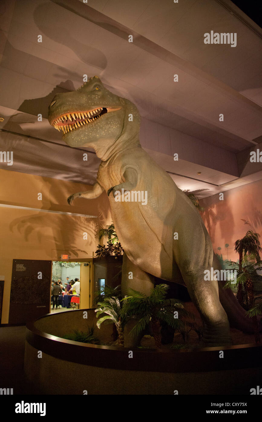 Springfield Science Museum MA Stock Photo - Alamy