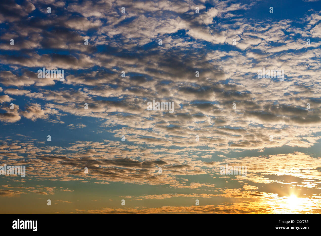 early sunrise in dark blue autumn sky Stock Photo - Alamy