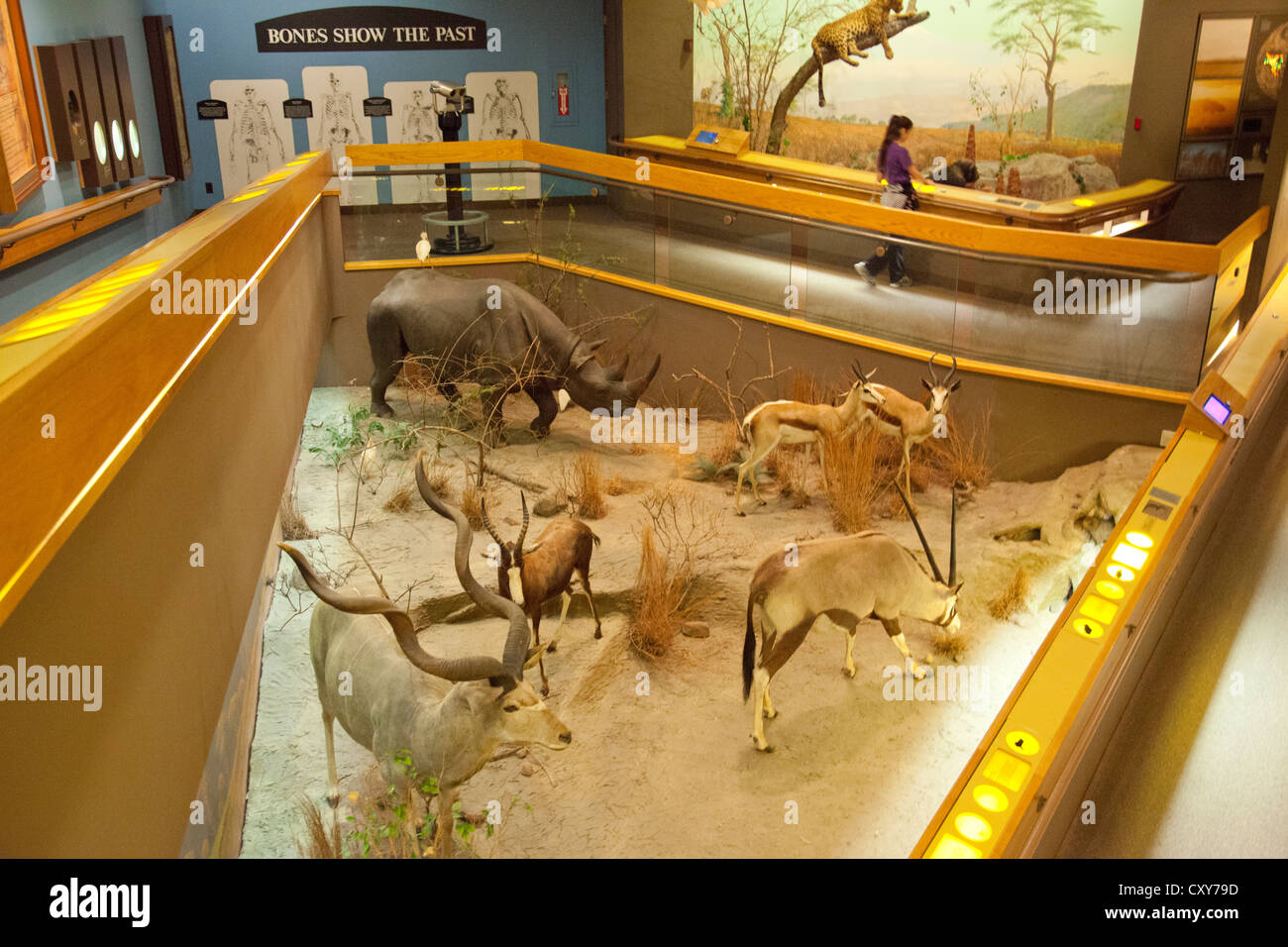 Springfield Science Museum MA Stock Photo - Alamy
