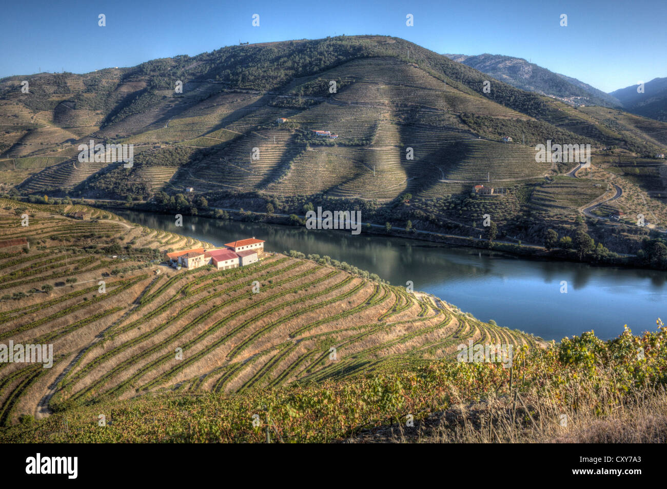 Landscape view of Douro region during harvest. Port wine region, in ...