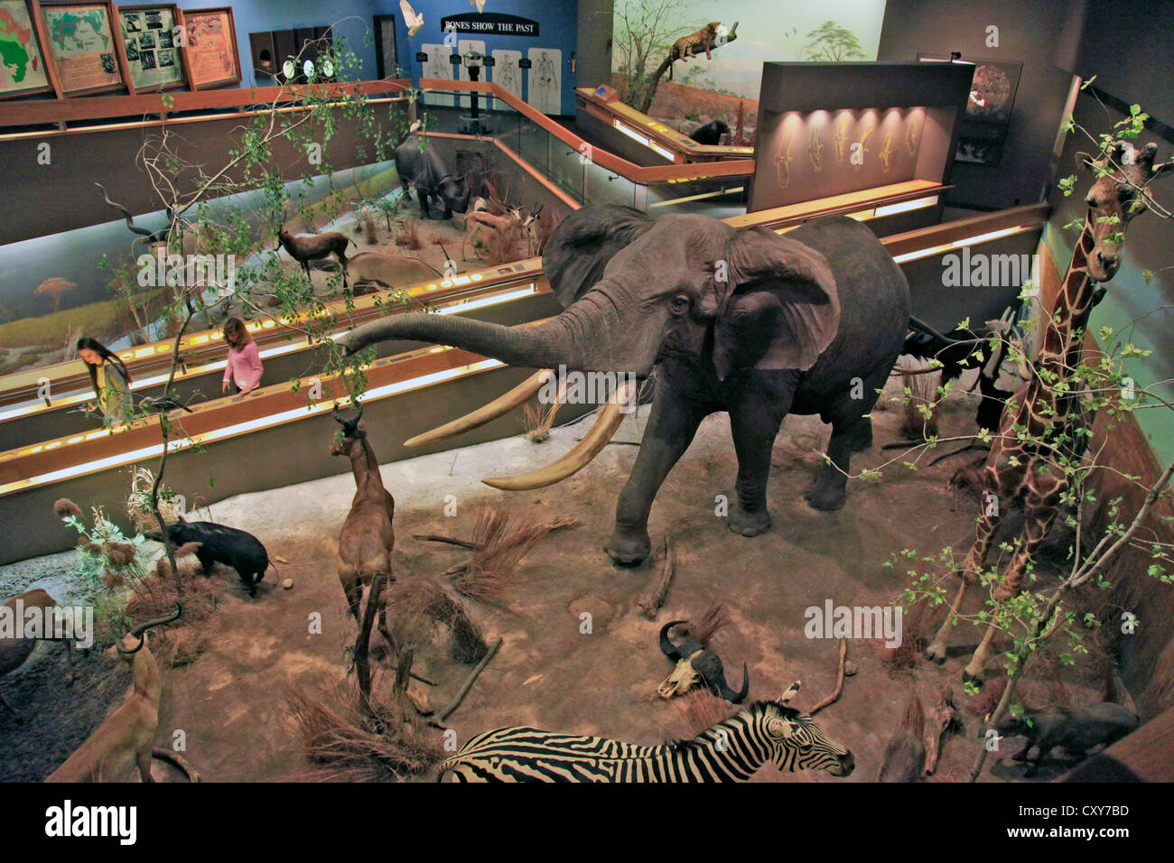 Springfield Science Museum MA Stock Photo - Alamy