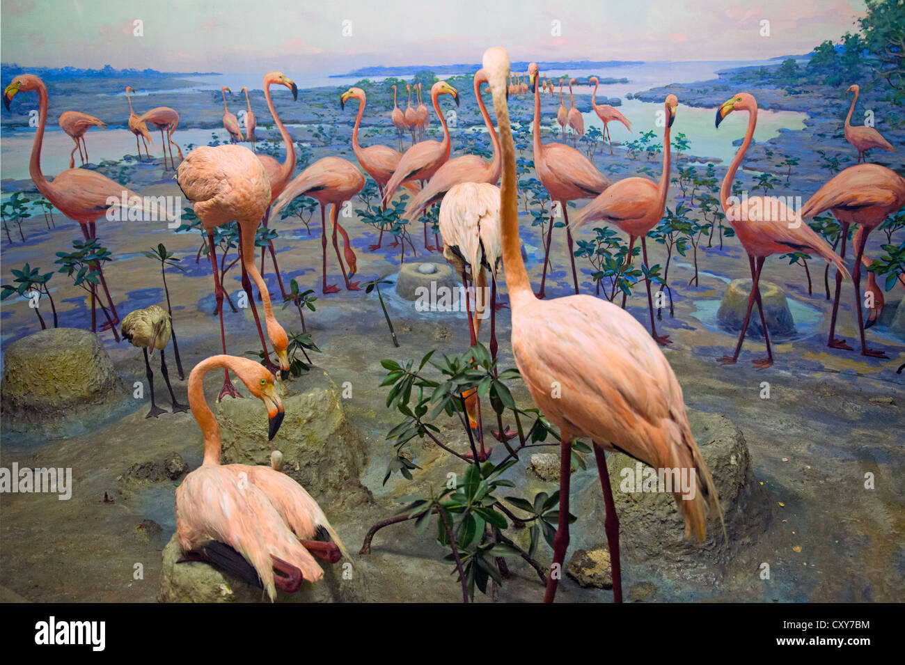 Springfield Science Museum MA Stock Photo - Alamy