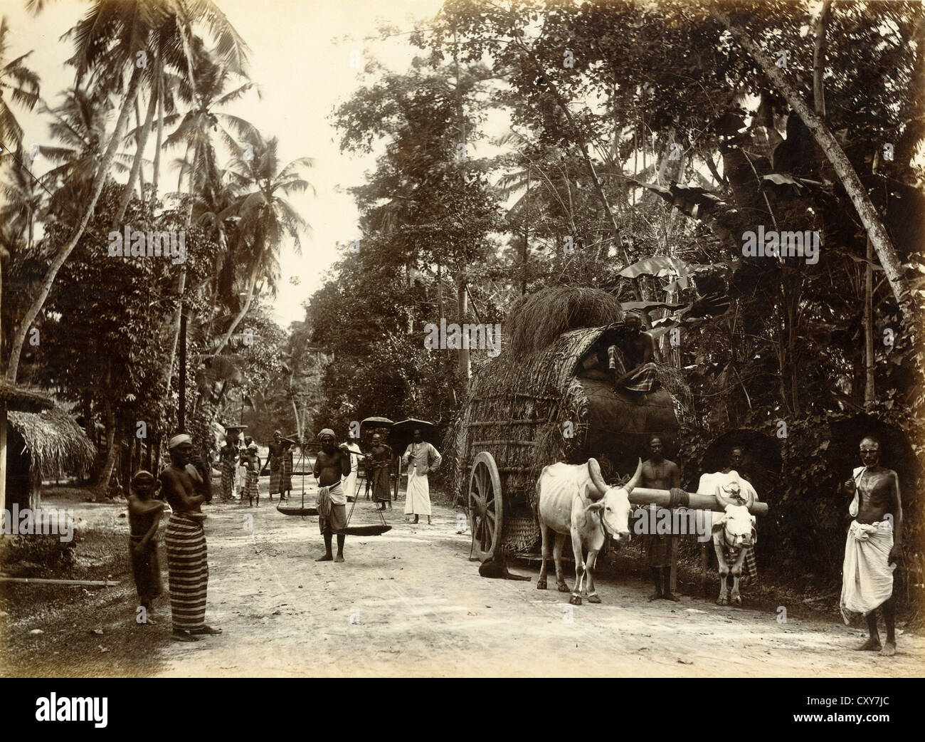 Country road sri lanka hi-res stock photography and images - Alamy